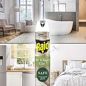 Raid Ant and Roach Killer, Aerosol Spray with Essential Oils 11 Ounce (Pack of 1)