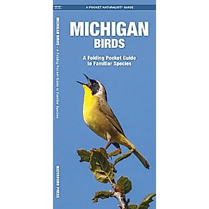 Michigan Birds: A Folding Pocket Guide to Familiar Species (Nature Observation North America)