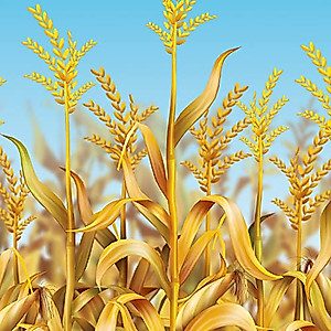 Beistle Decorative Cornstalks Backdrop