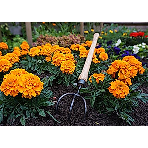 Tierra Garden Dewit 3-Tine Cultivator with Drop Grip Handle