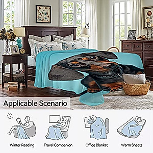 DOINBEE Dachshund Dog Blanket Dachshund Gifts Cute Black Dog Animal on Blue Throw Blankets for Men Women Fluffy Fleece Flannel Soft Cozy Sofa Chair Bed Couch Blanket Decor Travel Quilts 60"x50"
