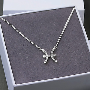 Zodiac Necklaces for Women Sterling Silver, 12 Horoscope Constellation Zodiac Sign Necklace, 18" - 20" Polo Chain Zodiac Jewelry Celestial Necklace, Birth Year Necklace (Pisces)