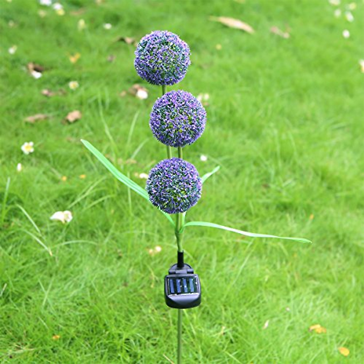 Solar Powered Dandelion Solar LED Lights Outdoor Waterproof LED Lamps for Garden Backyard Lawn Landscape Decoration Illumination (Purple)