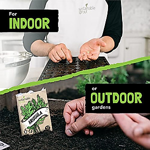 Salad Greens Seeds Kit – Bulk Leaf Lettuce, Bibb, Romaine, Kale, Arugula, Spinach, Swiss Chard Seeds for Planting – Leafy Greens for Indoor Hydroponic or Outdoor Organic Vegetable Garden, 100% Non-GMO