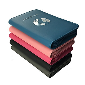 Phone Charging Passport Holder with Removable Fast Charging Power Bank that holds money, cards, phone, travel docs- RFID Blocking - Compatible with All Phones - Travel Accessories (Cerulean)