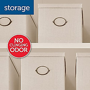 Enoz Moth Balls ( Pack of 10)