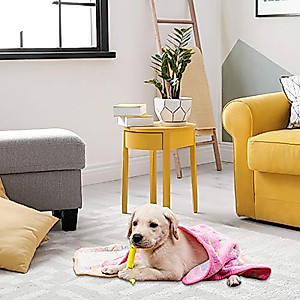 Dono 1 Pack 3 Dog Blankets, Soft Fluffy Fleece Pet Blanket Warm Sleep Mat Paw Print Design Puppy Kitten Throw Blanket Doggy Mat, Blanket for Dogs