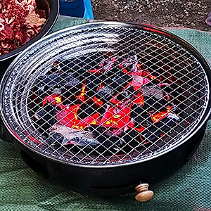 EORTA 4 Pack Disposable Barbecue Grilling Grate 11.6 Inch Round BBQ Mesh Wire Portable BBQ Grill Replacement for Outdoor Cooking Picnic Party Camp, 11.6 inch