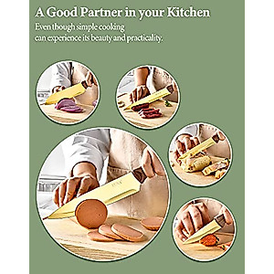 EUNA 5 PCS Chef Knife Set Ultra Sharp Kitchen Knife Set with Sheaths and Gift Box,Premium German Stainless Steel Knives Set for Kitchen with PP Ergonomic Handle (Gold)