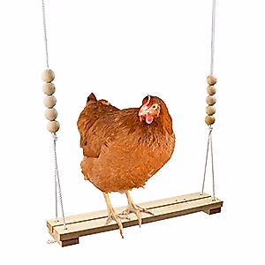 Chicken Swing Toy for Coop Handmade in USA!!! Natural Safe Wooden Accessories Large Durable Perch Ladder for Poultry Run Rooster Hens Chicks Pet Parrots Macaw Entertainment Stress Relief for Birds