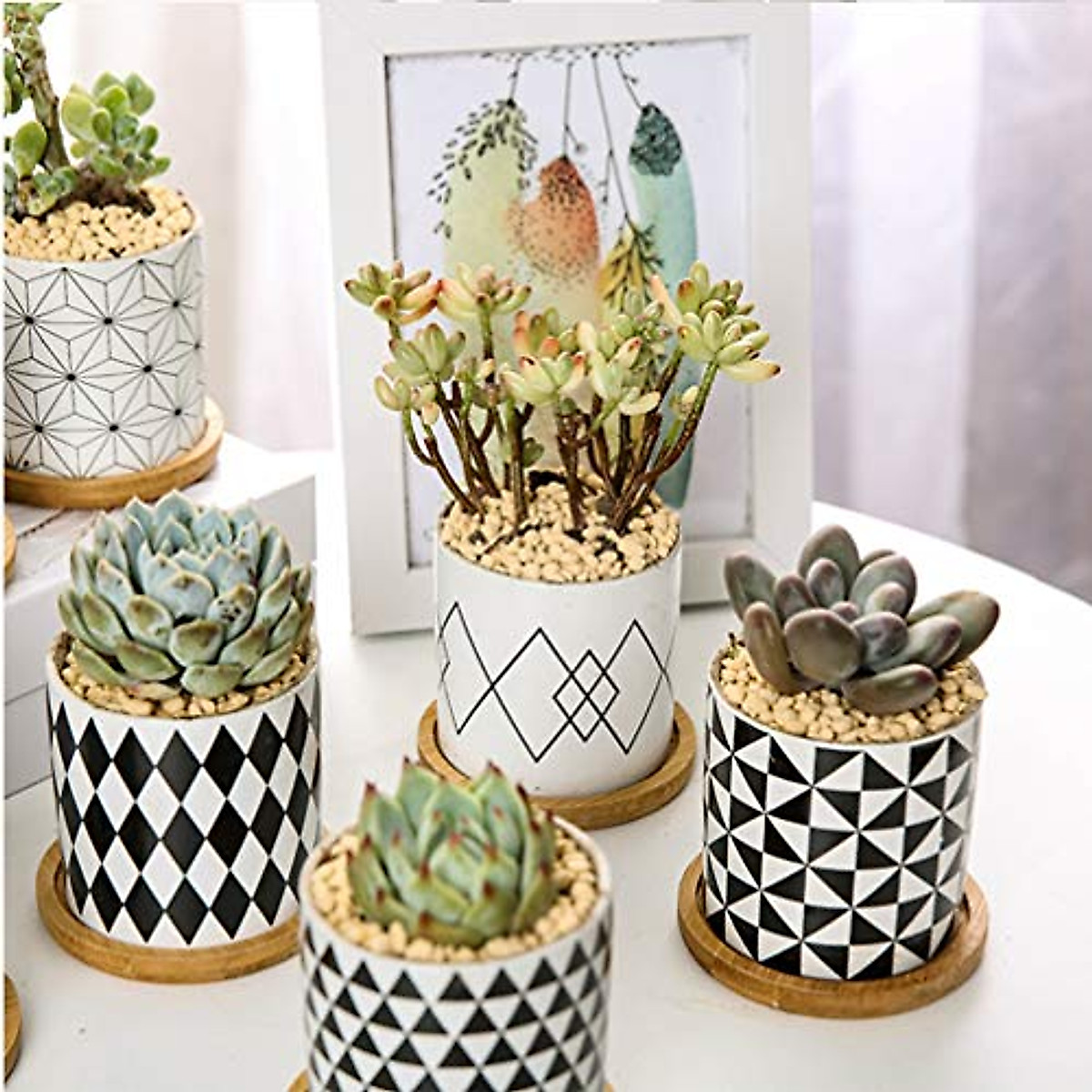 Cabilock Plant pots Ceramic Bonsai pots Ceramic Planter pots Small pots Ceramic Plants Pots Ceramic pots Tiny Plant Succulent pots Mini vases Round vase Simple Flower Pot Desktop Mini Basin
