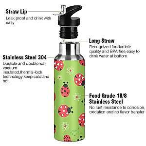 xigua Ladybug Water Bottle Double Walled Stainless Steel Leak Proof Thermo Flask for Sports Gym Cycling Outdoor,20 oz.