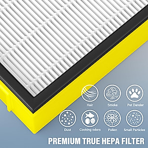 FLT4100 True HEPA Replacement Filter E for Guardian AC4100, AC4100CA, AC4150BL, AC4150PCA, AC4150P, 4 True HEPA Filter & 8 Activated Carbon Filter