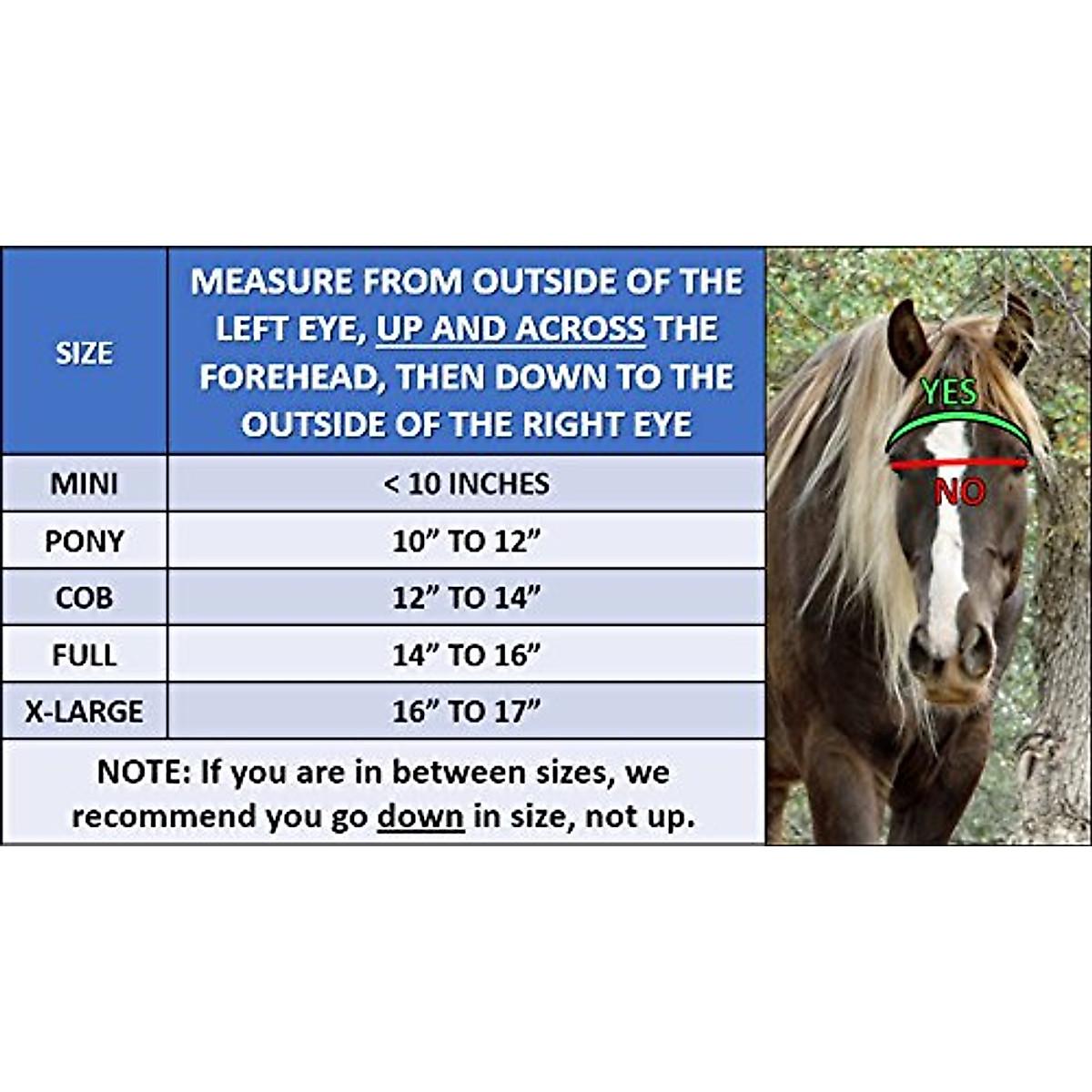 EquiVizor 95% UV Eye Protection (Full) Standard Horse Fly Mask - Help with Uveitis, Corneal Ulcer, Cataract, Light Sensitivity, Cancer. Designed to Stay On Your Horse, Off The Ground!