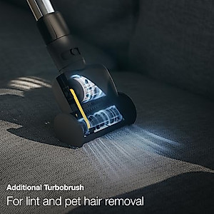 Miele Blizzard CX1 Cat & Dog Bagless Canister Vacuum, Lotus White - Pet Hair, Portable