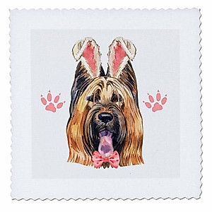3dRose Adorable Briard Working Dog Imitating The Easter Bunny in... - Quilt Squares (qs-378919-2)