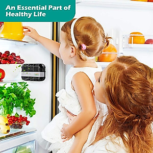 CARE HOME Refrigerator Deodorizer with Removable Suction Cups, Refrigerator Odor Eliminator, Beats Baking Soda Deodorizer for Fridge and Freezer, 1Pack