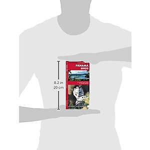 Panama Birds: A Folding Pocket Guide to Familiar Species (Nature Observation International)