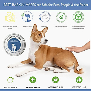 The Canine Project Best BARKIN' Wipes with Free Mesh Bag - Dog Wipes for Paws Ears and Butt - Micellar Aloe Scented Travel Friendly Puppy Wipes (12-Pack)
