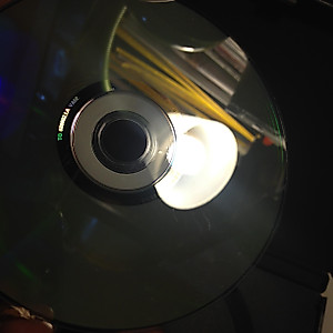 The Girl in the Bikini