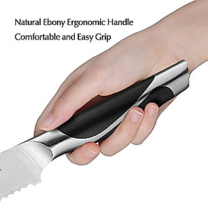 Lebabo 10 Inch Serrated Bread Knife, Professional Cake Knife, German High-Carbon Steel Bread Cutters, Wide Wavy Edge Bagel Knives, Ergonomic Handle with Wooden Gift Box