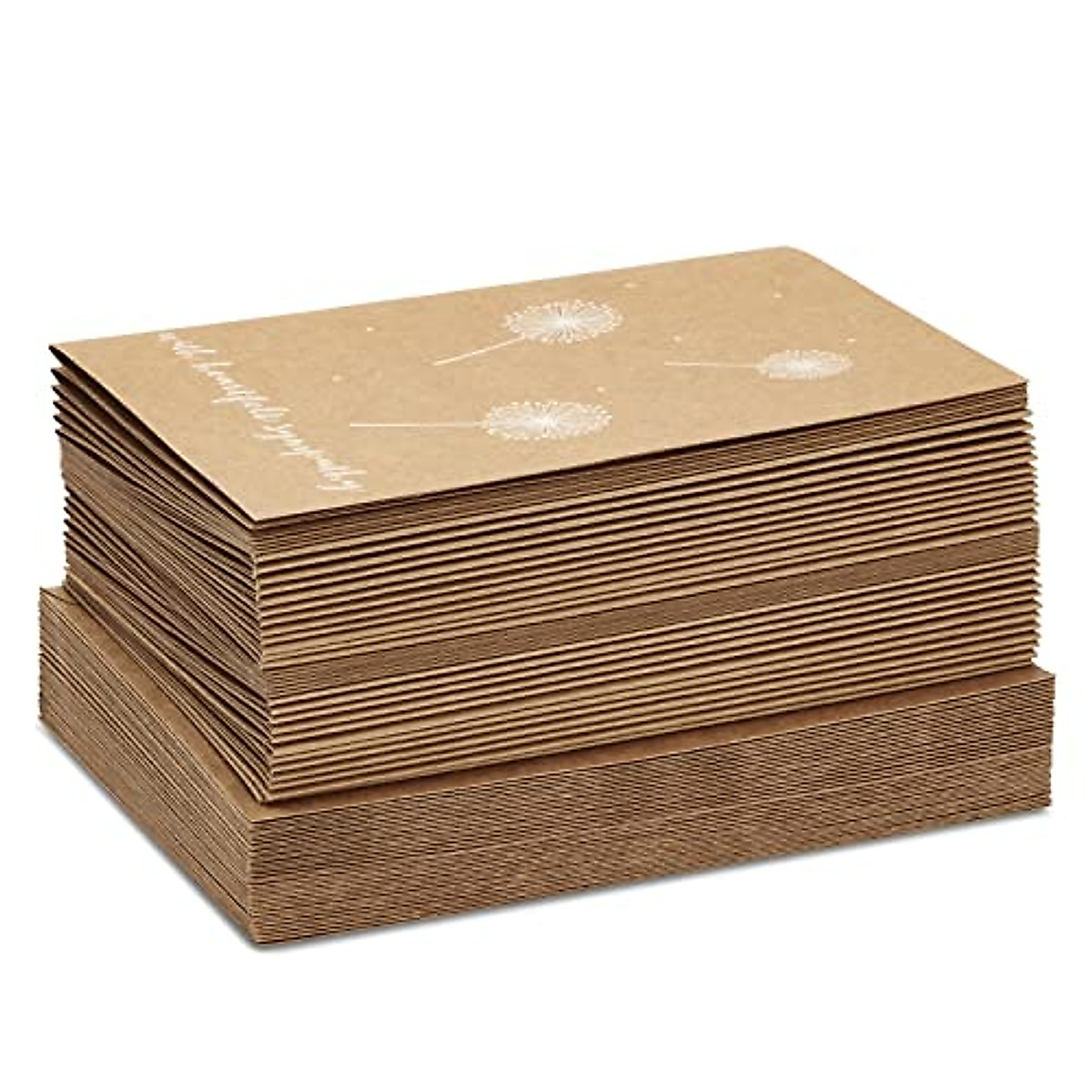 36 Pack Blank Sympathy Cards with Envelopes, Bulk Kraft Paper Condolence Cards with Envelopes for Bereavement, Thinking of You, White Dandelion Design, Blank Inside (4x6 In)
