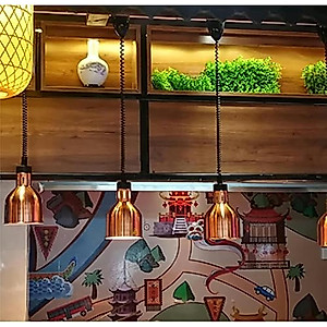 Food Insulation Lamp Commercial Food Warmers, 170mm, Buffet Electric with Bulb, Food Service Restaurant Kitchen Equipment Food Insulation Lamp Warming Equipment,