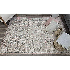 Rugs America Harper HY60A Pink Lemonade Transitional Vintage Area Rug, 5'x7'