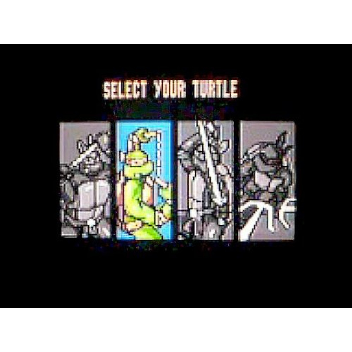 Teenage Mutant Hero Turtles the Coin-up