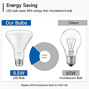 SHINESTAR 6-Pack BR30 LED Recessed Light Bulbs, 65W Equivalent, 5000K Daylight White, Dimmable Flood Lights Indoor, 650LM, E26 Base