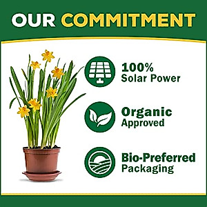 Espoma Organic Tree-Tone 6-3-2 Natural & Organic Fertilizer and Plant Food; 4 lb. Bag; Organic Fertilizer for All Trees. Use for Fruit Trees Like Peach & Apple Trees and All Shade Trees.