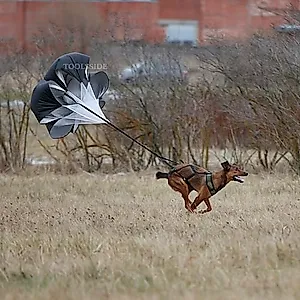 Speed Parachute for Speed Training 48" - Running Speed Chute - Still Cool Running Speed Training for Kids Youth and Adults - Speed Chute Comes Complete with a Carrying Bag - Chute Soccer Training