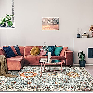 Superior Idalia Indoor Area Rug