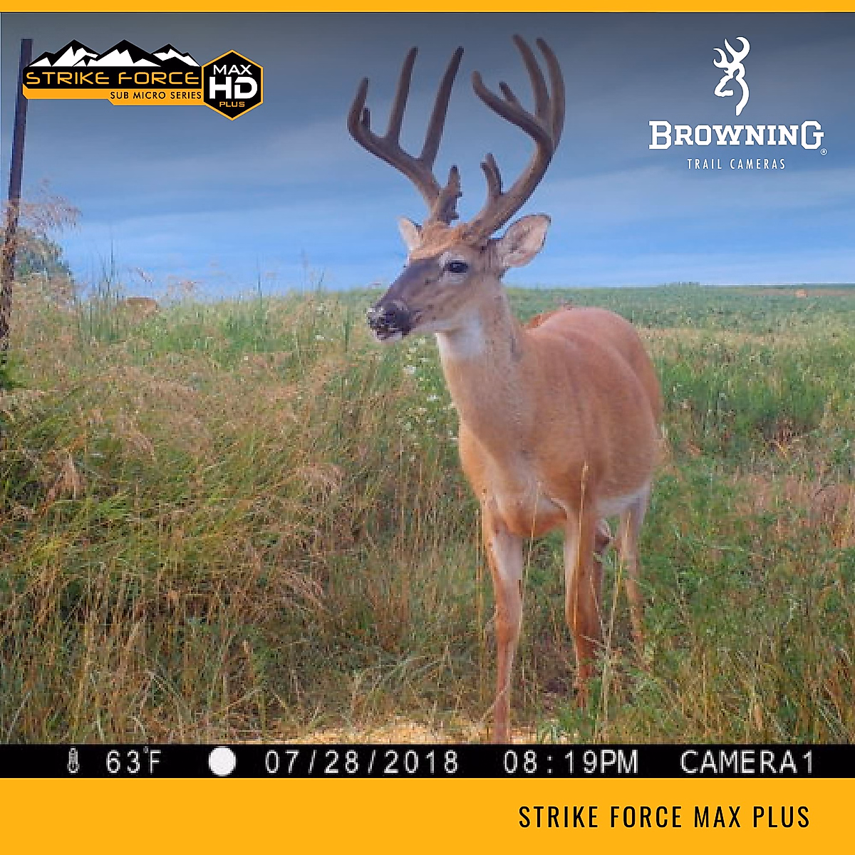 Browning outdoor Trail Cameras Strike Force Max HD Plus BTC, Motion Only