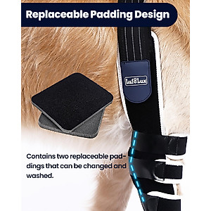 LufeLux Dog Elbow Protector, Padded Elbow Brace for Canine, Shoulder Support Protection for Callus, Hygroma, Dysplasia, Arthritis, Osteoarthritis, Pressure Sores, Avoid Cone of Shame