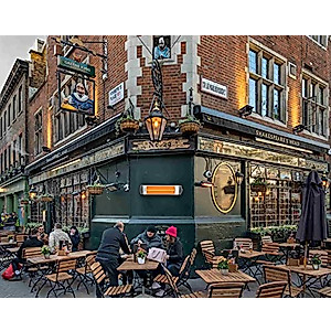 Econat C-15 | 1500-Watt Electric Heater with Thermostat | Energy Efficient Heater for Indoor and Outdoor