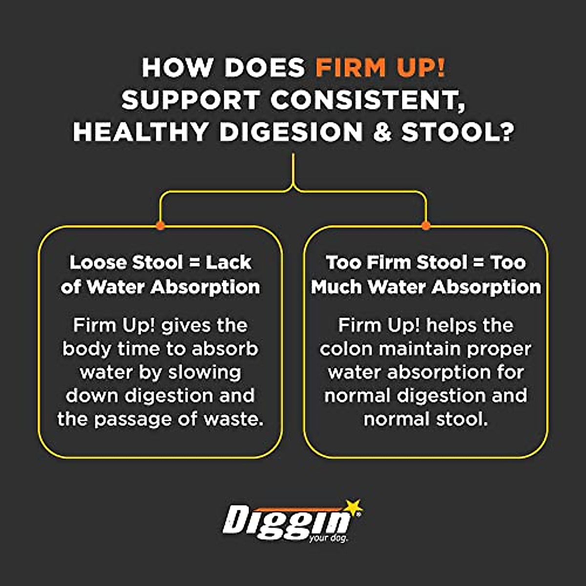 Diggin’ Your Dog Firm Up Pumpkin for Dogs & Cats, 100% Made in USA, Pumpkin Powder for Dogs, Digestive Support, Apple Pectin, Fiber, Healthy Stool, 4 oz