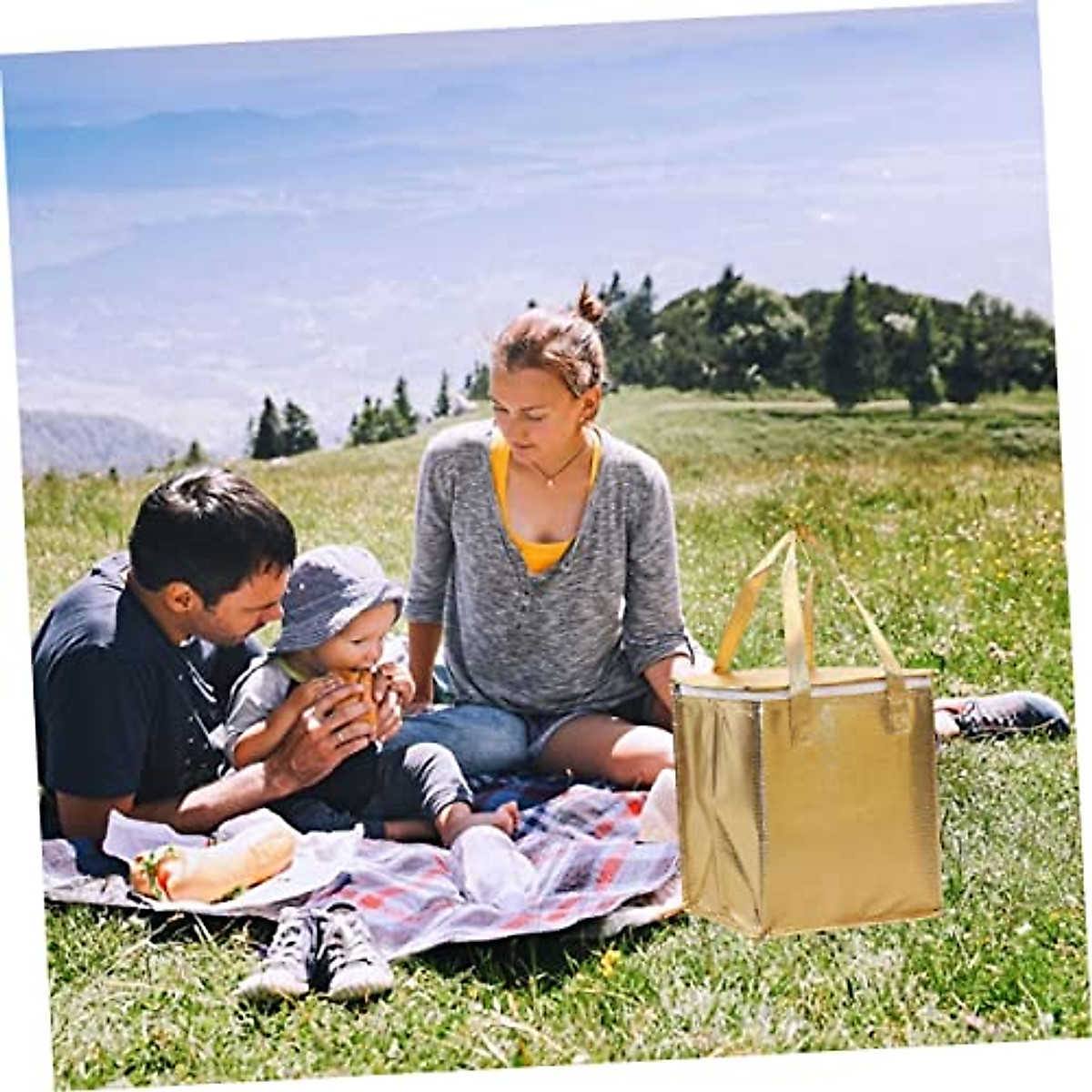 NOLITOY 4pcs Storage Hiking Tote Take Cake Thermal Practical Take-out Baking Delivery Picnic Back Zipper Heat Insulation Item Pizza Insulated Small Warmer Bags Cooler Aging Out