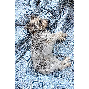 City Scene Duvet Cover Set Reversible Cotton Bedding with Matching Shams, All Season Home Decor, Twin, Milan Blue