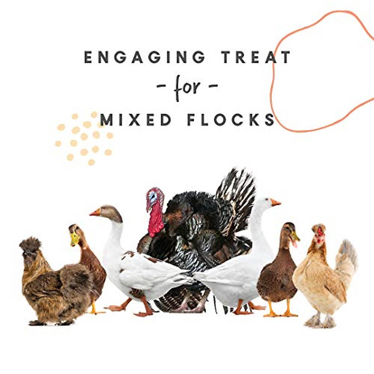 Manna Pro 7-Grain Ultimate Chicken Scratch - Scratch Grain Treat for Chickens and Other Birds - Non-GMO Natural Ingredients - 10 lbs