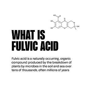 blk. Natural Alkaline Sparkling Mineral Electrolyte Infused with Fulvic and Amino Acids, Zero Sugar, Zero Calories Drink, Strawberry Rhubarb Flavored, 16 oz, 12 pack