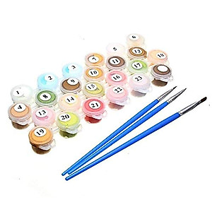HRKDHBS Paint by Numbers Flame Football DIY Acrylic Oil Painting Kit Adult Kids Beginner Arts Crafts 40X50Cm (Without Frame)