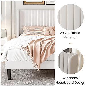 SHA CERLIN Queen Size Velvet Bed Frame with Vertical Channel Tufted Wingback Headboard, Upholstered Platform Bed with Wood Slats, No Box Spring Needed, Easy Assembly, White