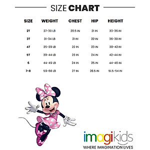 Disney Mickey Mouse Minnie Mouse Toddler Girls Fleece Pullover Hoodie and Pants Outfit Set Maroon/Black 5T