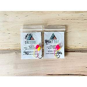 Pompano Rigs Pro-Tec Coated Circle Hooks Surf Fishing Rigs Hand-Tied (2-Pack, Pompano Candy)