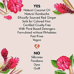 Love Beauty And Planet Silicone Free Conditioner Detox and Nourishment Black Tea Kombucha & Red Ginger Hair Care for Soft & Shiny Hair, Floral, 32 Fl Oz