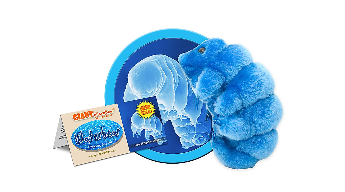 GIANTmicrobes Tardigrade Plush: Cuddly Water Bear Toy for Science Lovers