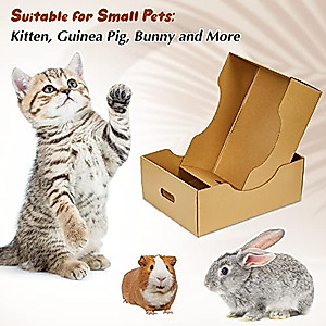 10 Pcs Disposable Litter Box for Cats Kitty Box Small Disposable Paper Cat Litter Trays Cardboard Litter Tray for Cats Small Pets Liner Animals Home Indoor Outdoor, 15.7 x 11.8 x 5.9 Inch