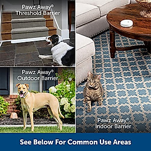 PetSafe Pawz Away Pet Barrier Mini Add-A-Barrier for Cats and Dogs - Up to 2.5 Feet of Radius, Waterproof for Indoor and Outdoor Use - Expand Coverage - Additional Barrier Only,White