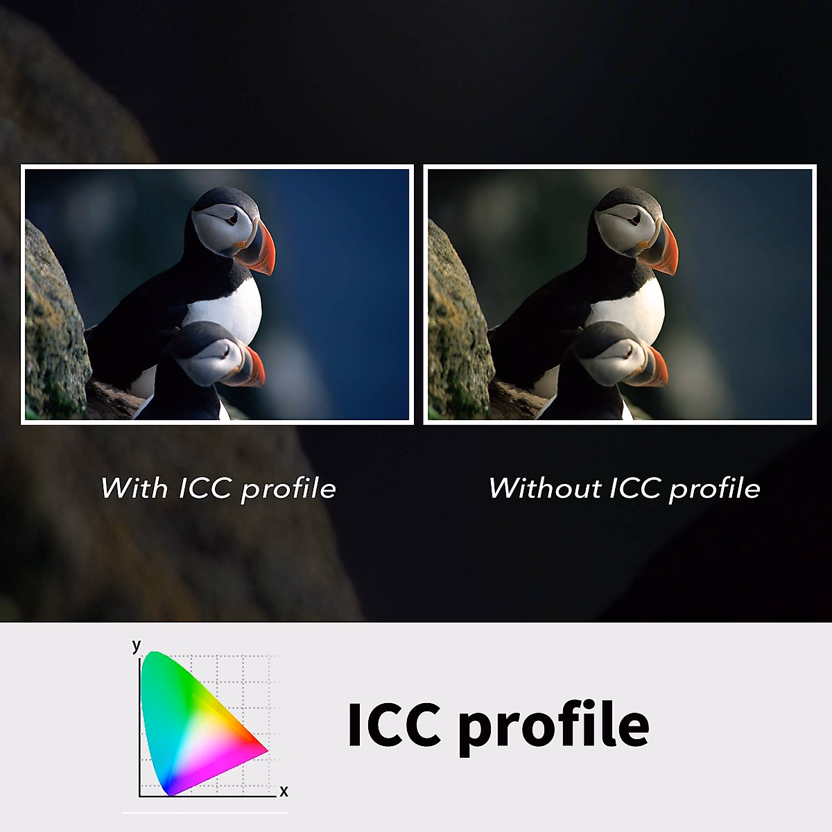 Plustek OpticFilm 8100-35mm Negative Film/Slide Scanner with 7200 DPI and 48-bit Output. Bundle Silverfast SE Plus 8.8, Support Mac and Windows